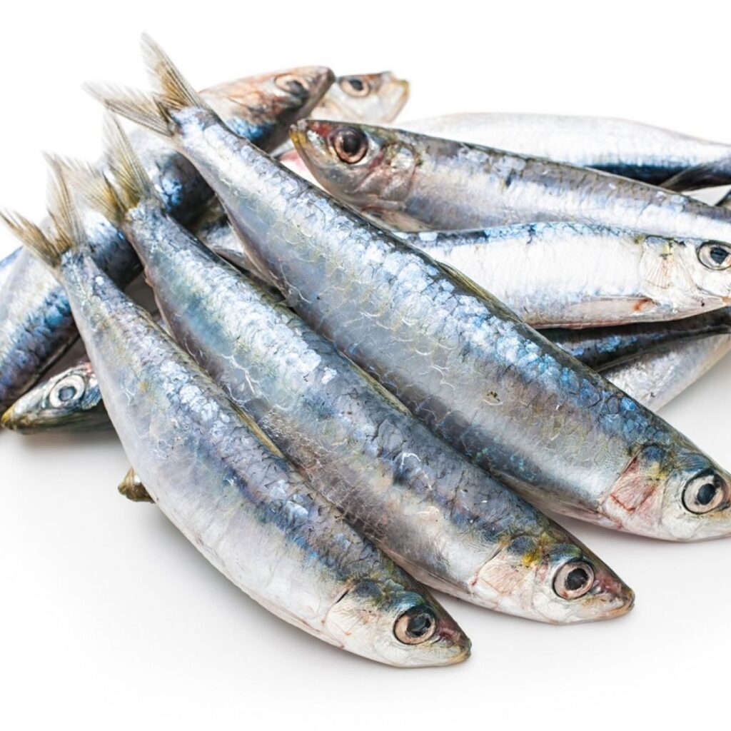 Fresh Fish Delivery - Online Fishmonger - Fresh Meat Delivery
